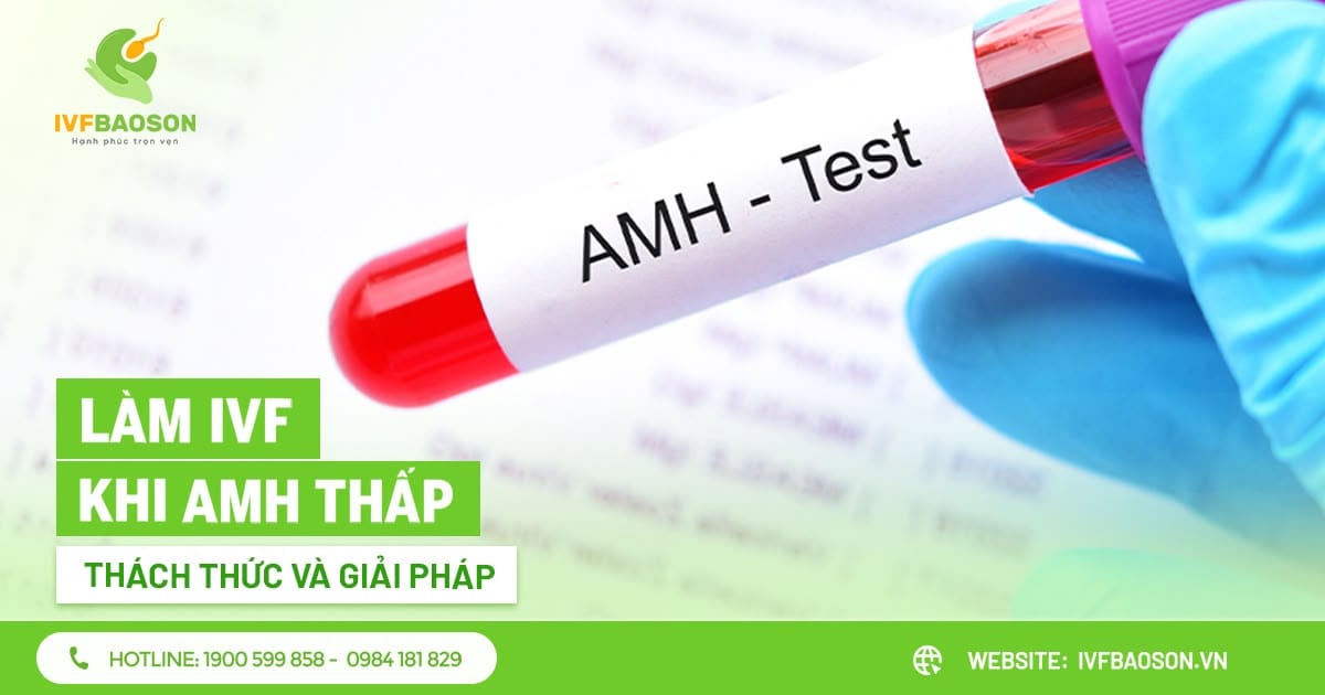 IVF Khi AMH Thấp: Thách Thức Và Giải Pháp Tối Ưu | 2025